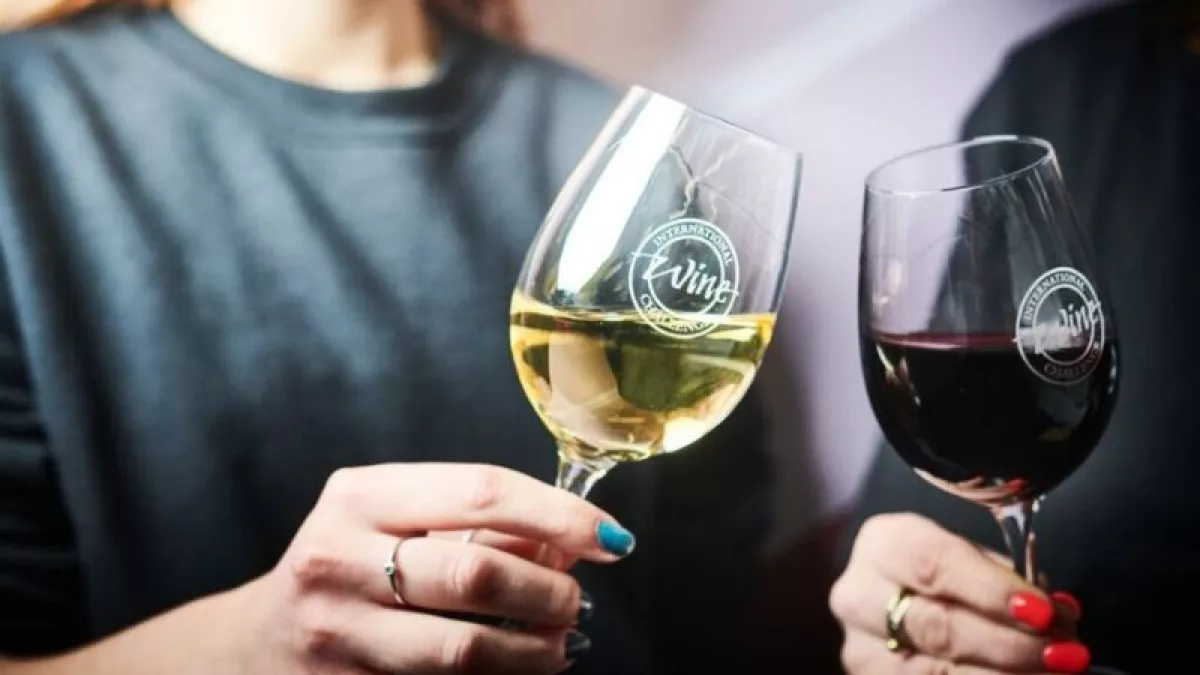 IWC Wine Industry Awards Argentina 2025: un homenaje a toda la cadena ...