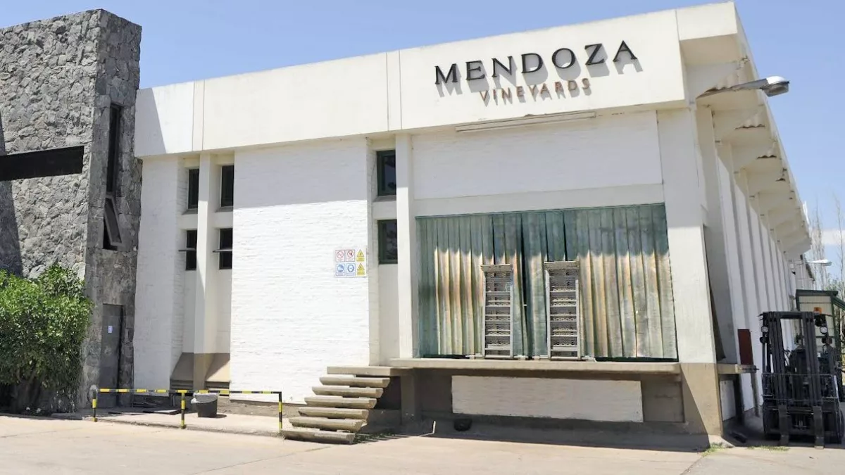 Mendoza Vineyards obtiene las certificaciones BRCGS e IFS y refuerza su ...